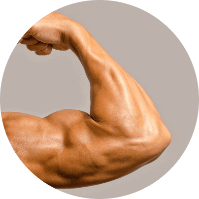 Advanced Muscle Plus