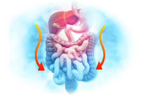 Why You Can Take All The Probiotics, Enzymes, and Antacids You Want ...