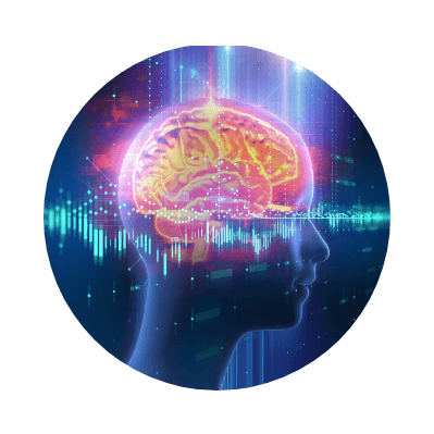 3 Nobel-Prize-Winning Breakthroughs That Work Together to Make Memory ...