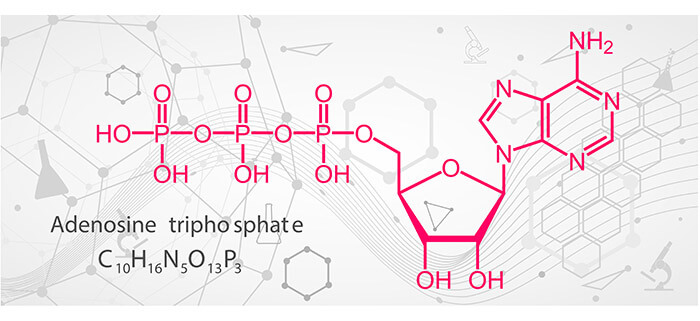 How To Feel Decades Younger By “Rebooting” Your Body’s Energy Engine