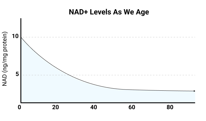This is Like Rocket Fuel For Your Mitochondria!