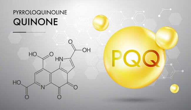 This is Like Rocket Fuel For Your Mitochondria!