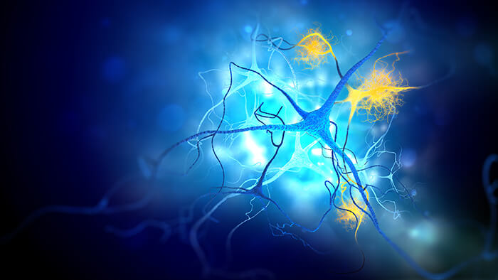 3 Common Spices You Should NEVER Mix Together