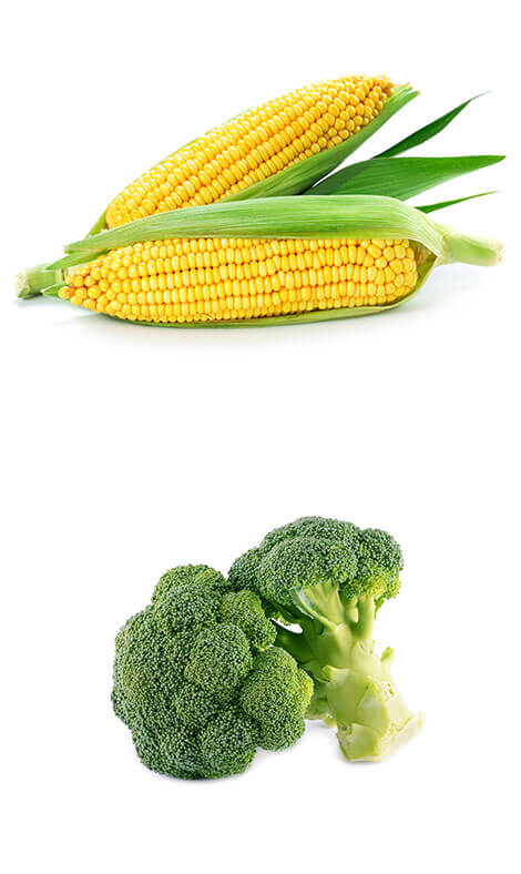 How a Nobel Prize Winner's Discovery Led To a Breakthrough In Eye ...