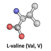 Advanced Amino Formula - Contains 8 Essential Amino Acids