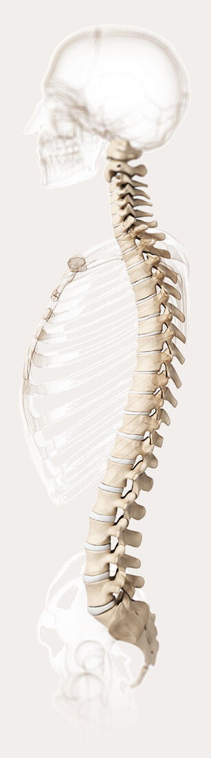 The Incredible Shrinking Woman - Ultimate Bone Support