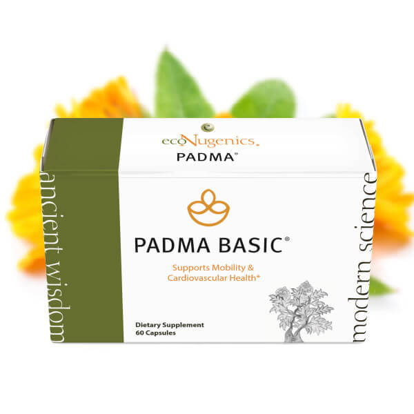 Buy Padma Basic with Costus Root, Iceland Moss, Neem Fruit and Valerian ...